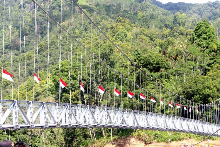 Fakta-fakta Jembatan Gantung Rp9 Miliar di Lumajang yang Putus