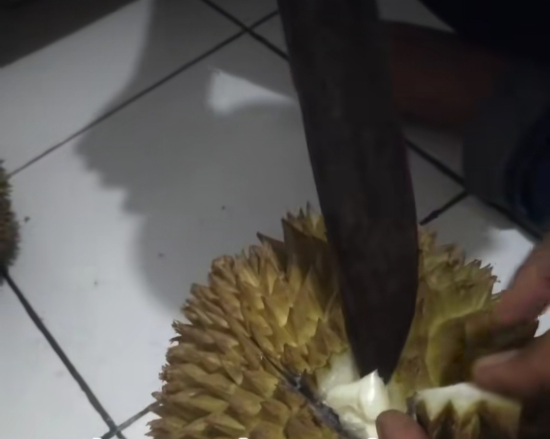 Soal Viral Durian Mentah 'Tewel" Pasar Chenghoo Bupati Pasuruan Terpilih Ikut Bersuara - WartaBromo