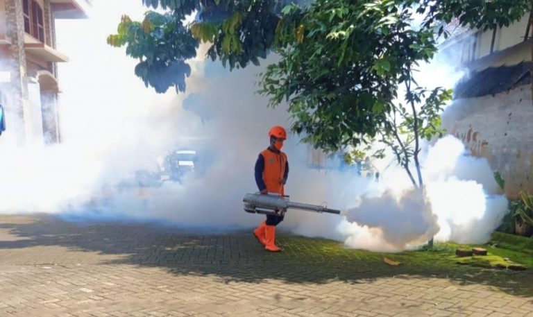 Muncul Kasus DBD di Grati, Petugas Lakukan Fogging saat Momen Lebaran ...