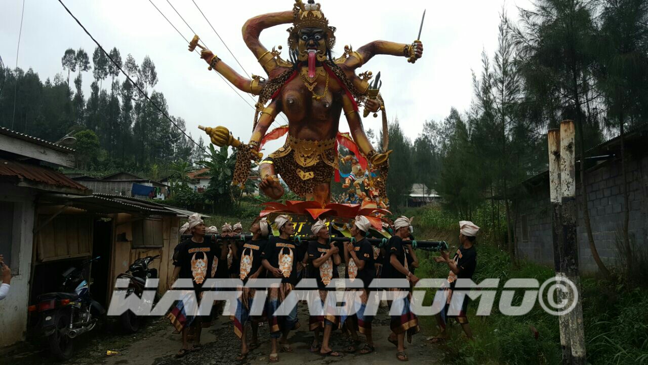 50 Ogoh - Ogoh Diarak Umat Hindu Tengger Brang Wetan - WartaBromo