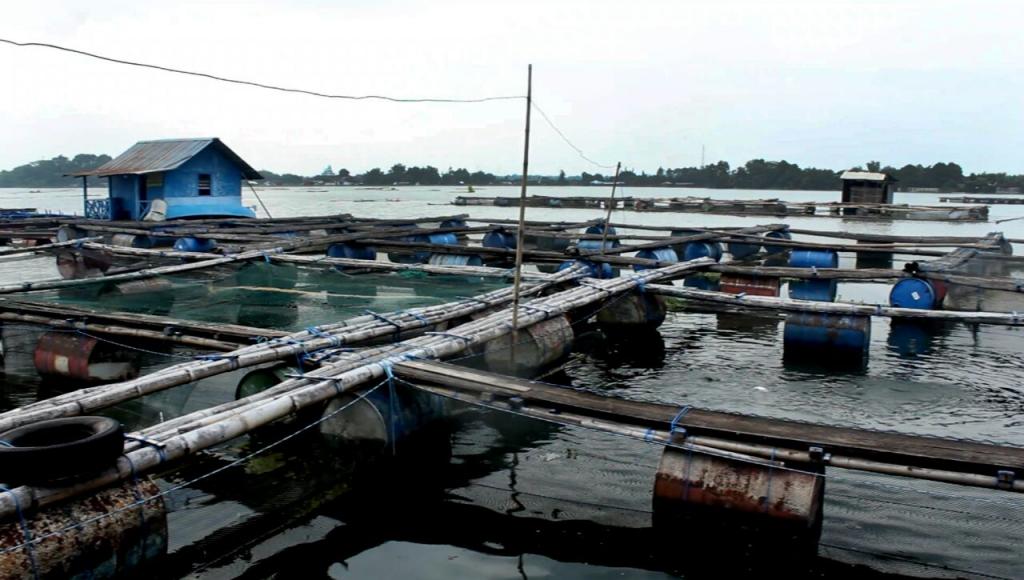 Mengenal Lempuk, Ikan yang Hanya Bisa Hidup di Danau Ranu-Grati ...