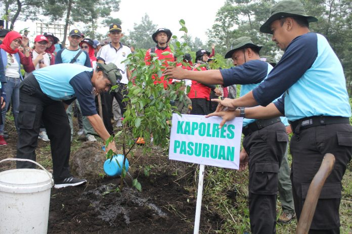 Gerakan Tanam 1.000 Pohon di Gunung Arjuna - WartaBromo