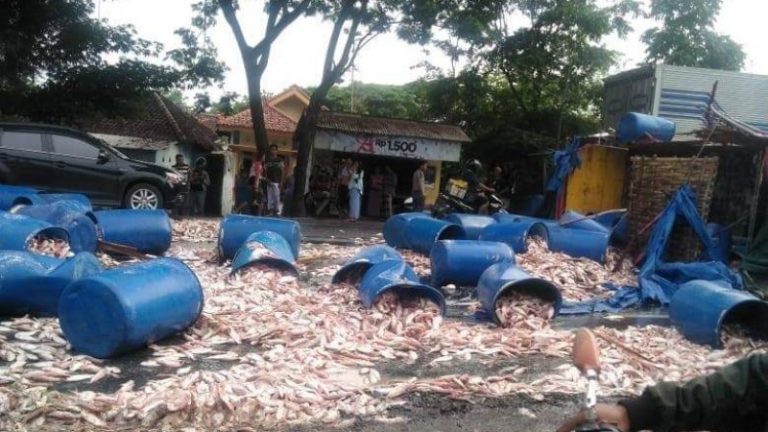Terlibat Laka Beruntun di Sedarum, Truk Mengangkut Ikan Terguling ... Terlibat Laka Beruntun di Sedarum, Truk Mengangkut Ikan Terguling ...