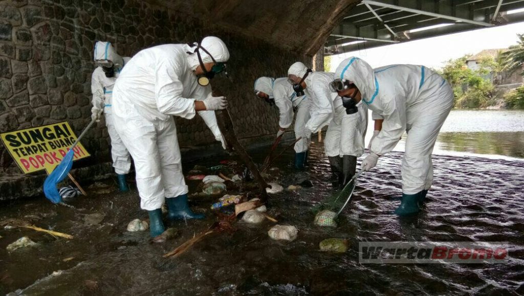 70% Sampah Popok Kotori Sungai di Pasuruan - WartaBromo