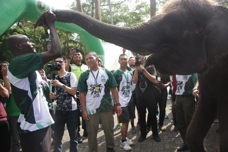 Serunya Safari Run 2018 “The Happiest Run in Indonesia” - WartaBromo
