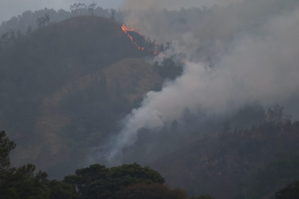 Kobaran Api di Welirang Terlihat hingga Tol Surabaya-Malang - WartaBromo