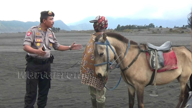 Jasa Sewa Kuda di Bromo Sepi - WartaBromo